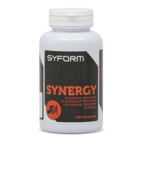 SYNERGY SYFORM